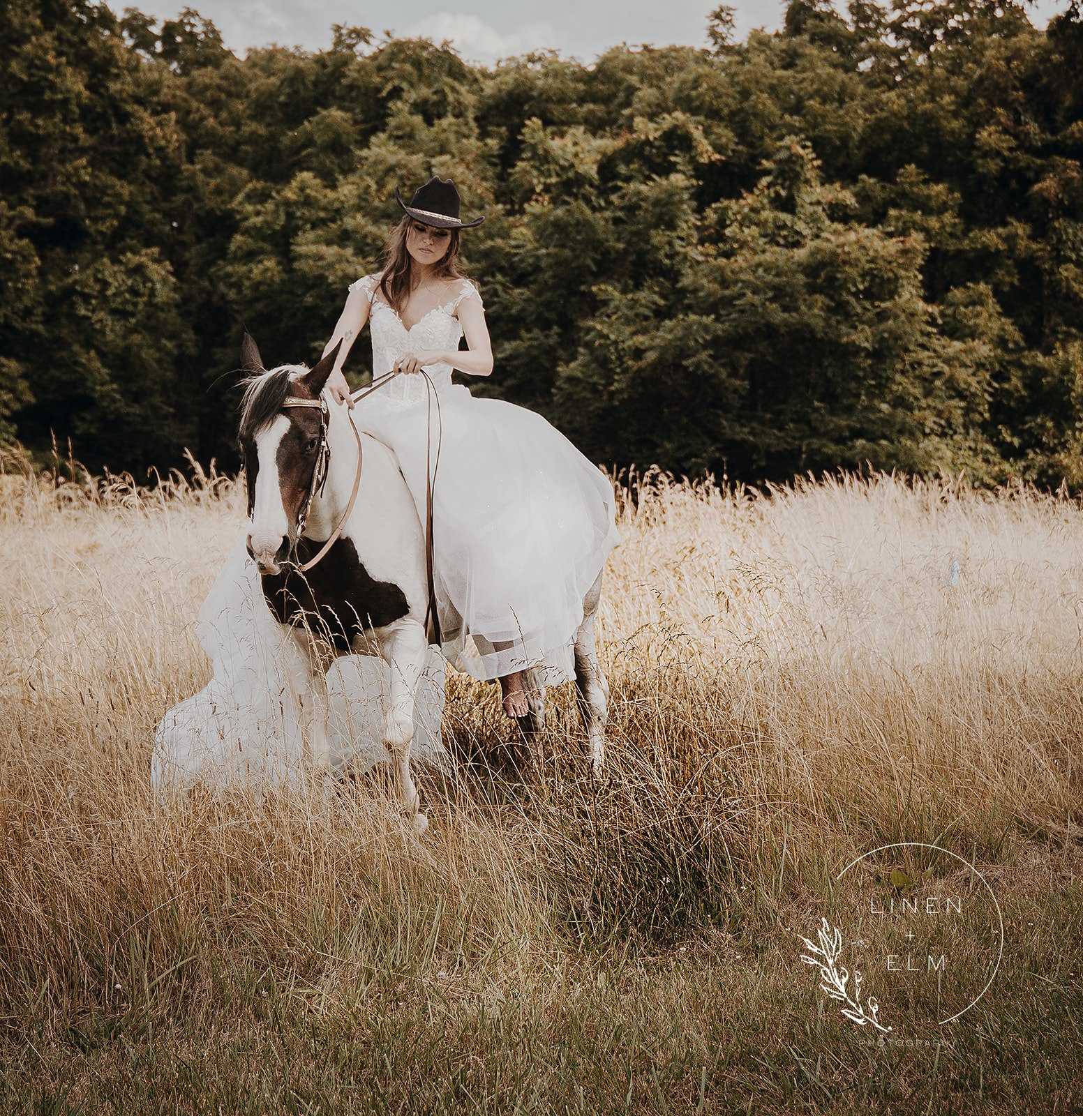 Cedar Bay Farm Equine Bridal Shoot
